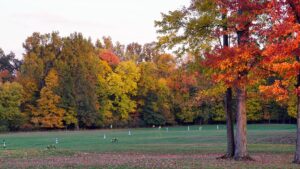 The Range | Windmill Lakes Golf Club