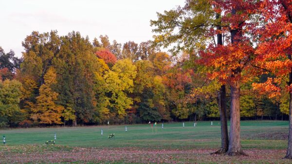The Range | Windmill Lakes Golf Club